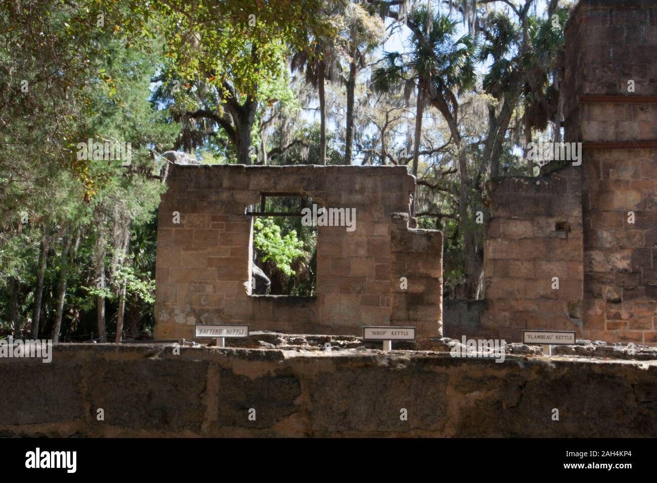 Bulow Plantation Ruins, Florida Stock Photo - Alamy