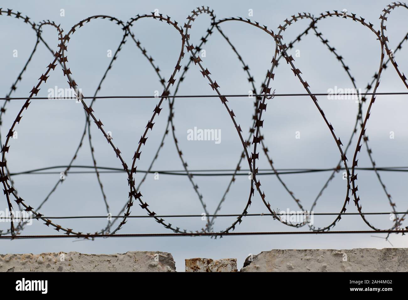 Barbed wire close up view Stock Photo - Alamy