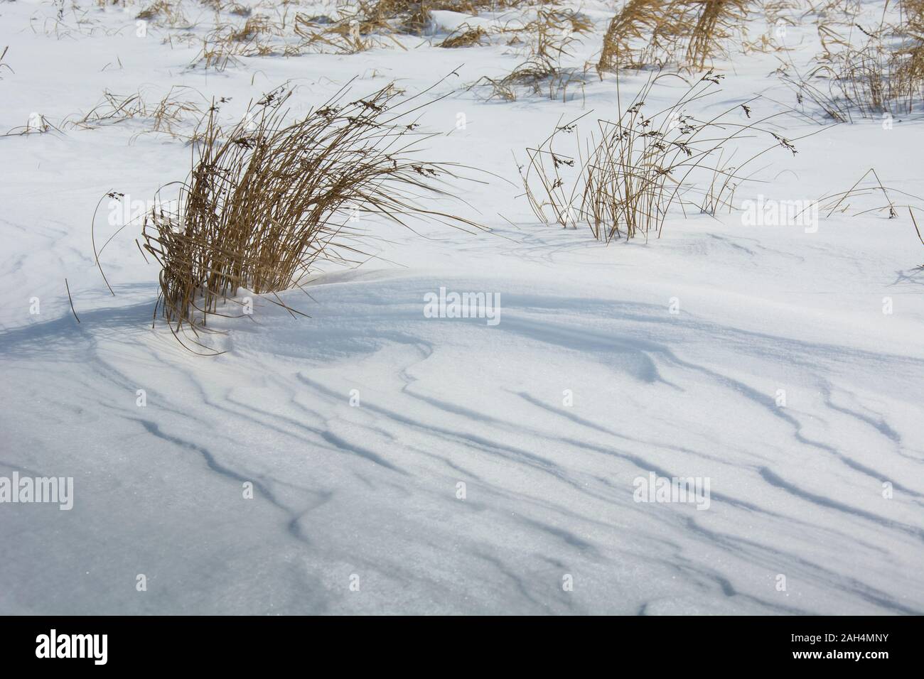 Dry season view hi-res stock photography and images - Alamy