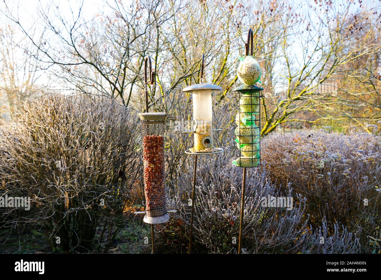 Bird feeders with mixed seeds in beautiful garden during frozen winter ...