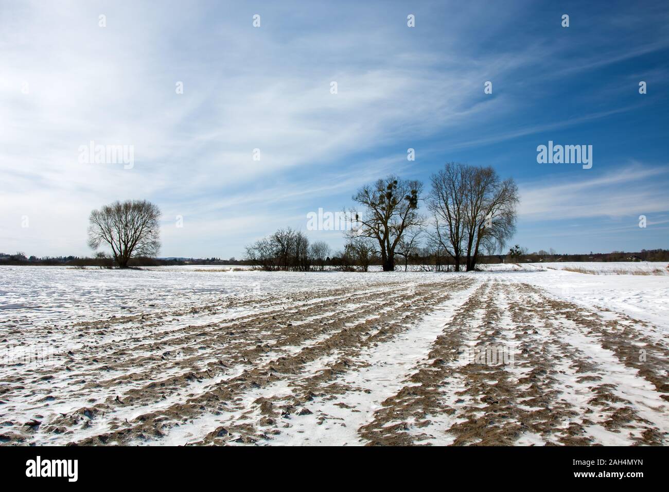 Winter snow field trees hi-res stock photography and images - Alamy