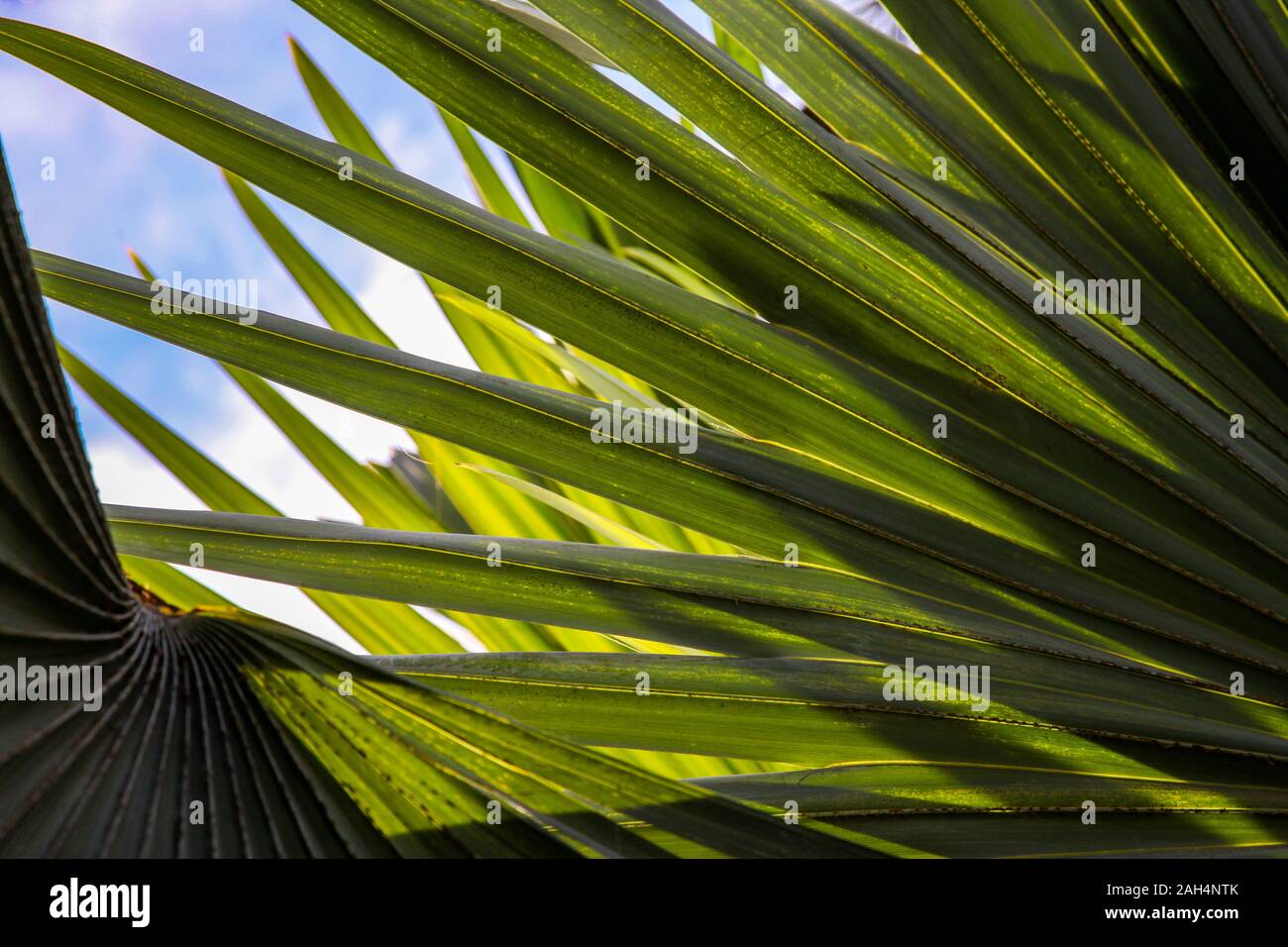 Abstract shade hi-res stock photography and images - Alamy