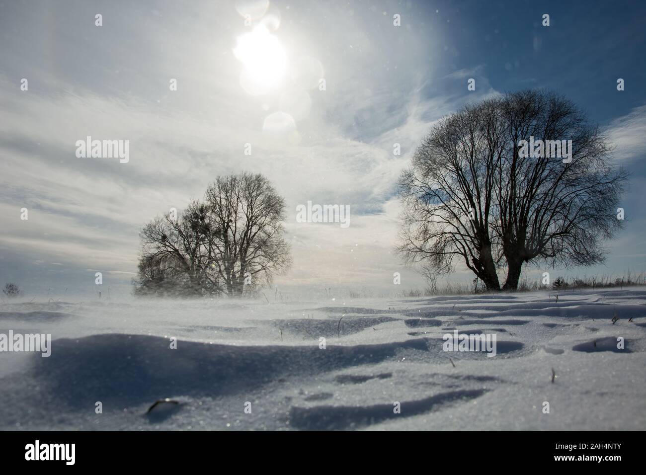Sunny weather sunshine hi-res stock photography and images - Alamy