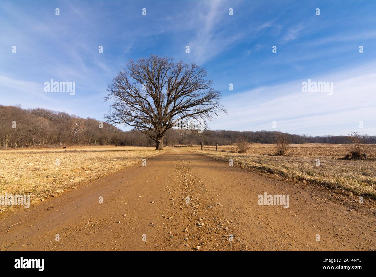 Dirt road through the Midwest countryside. Putnam County, Illinois, USA ...