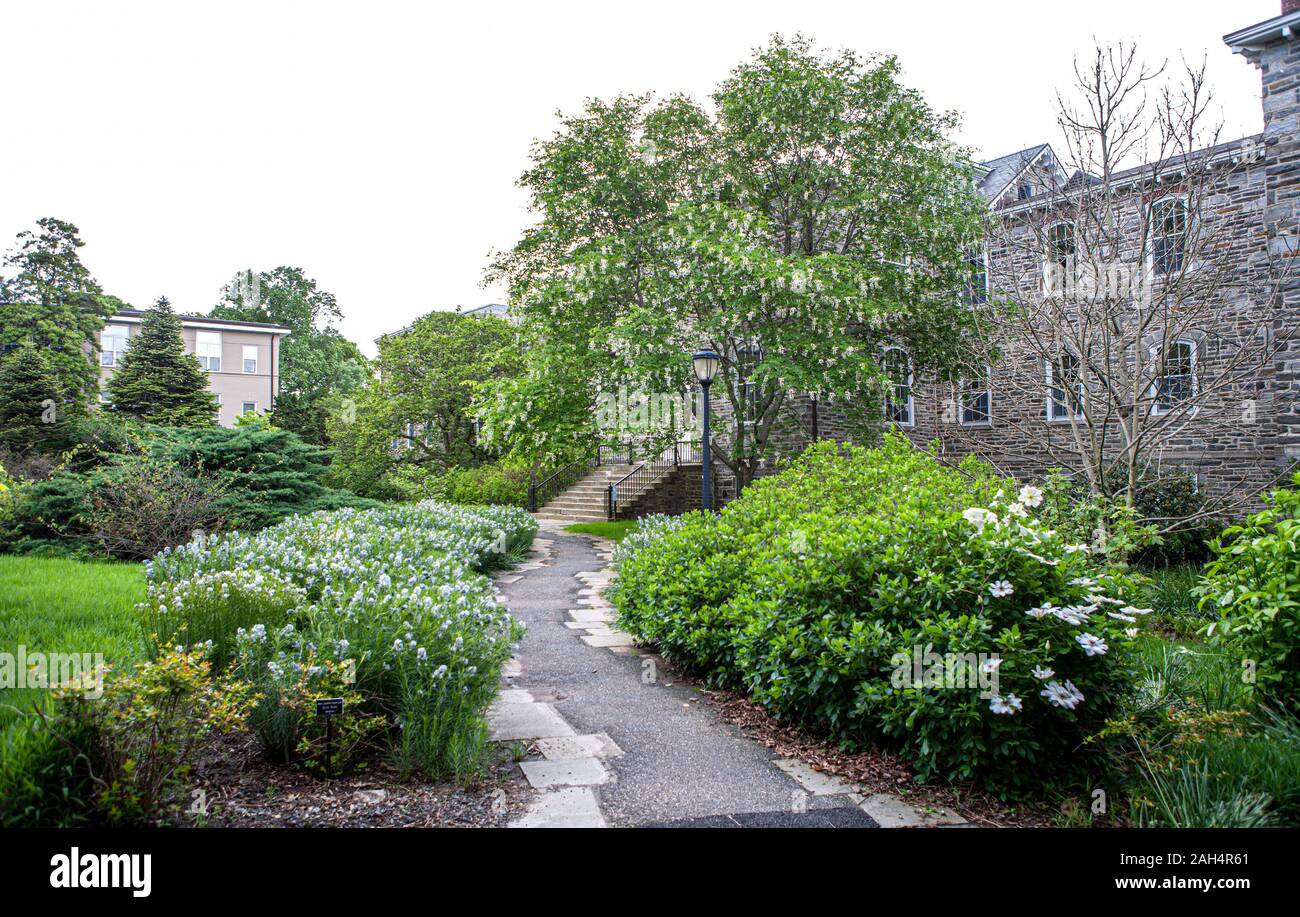 Hall swarthmore college hi-res stock photography and images - Alamy