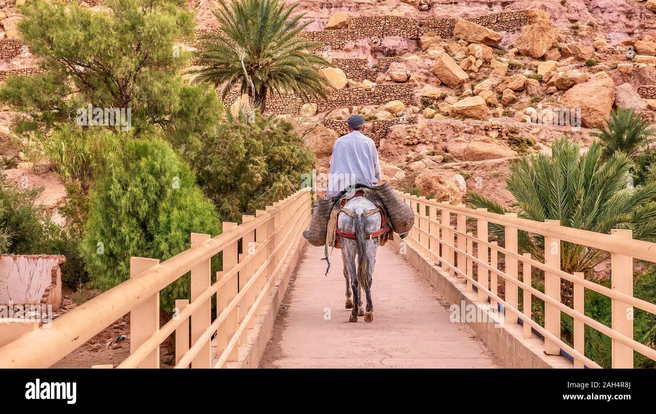 Man riding a mule hi-res stock photography and images - Alamy
