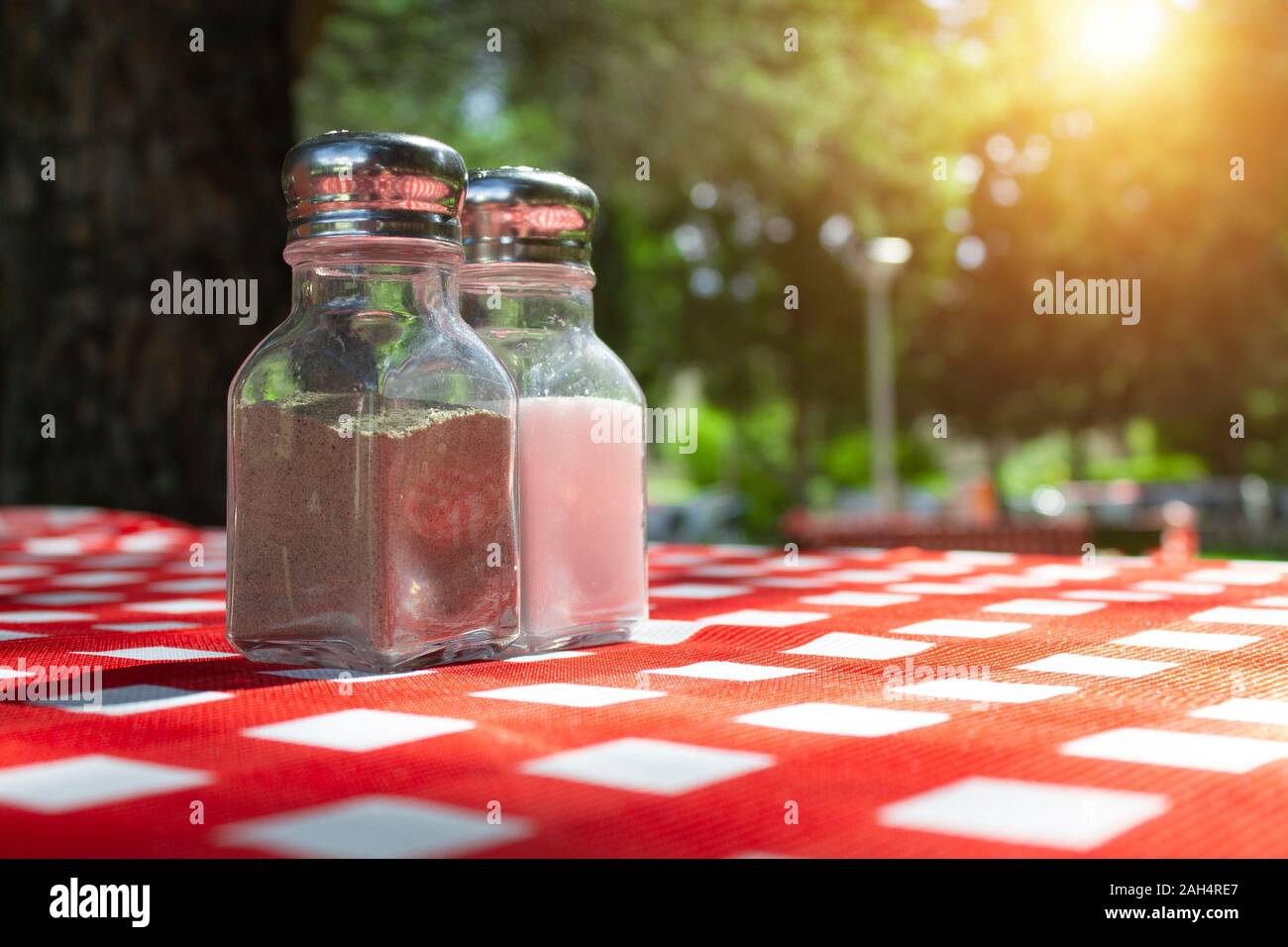 Salt and pepper shakers on picnic tablecloth with sunny background ...
