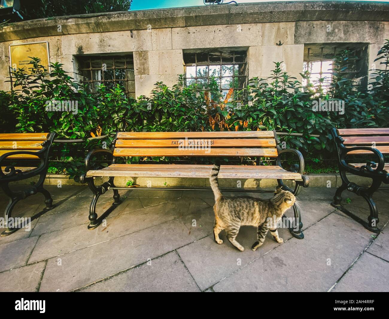 Turkey istanbul homeless poverty hi-res stock photography and images ...