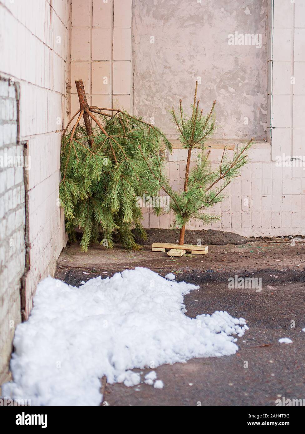 Tree as trash hi-res stock photography and images - Alamy