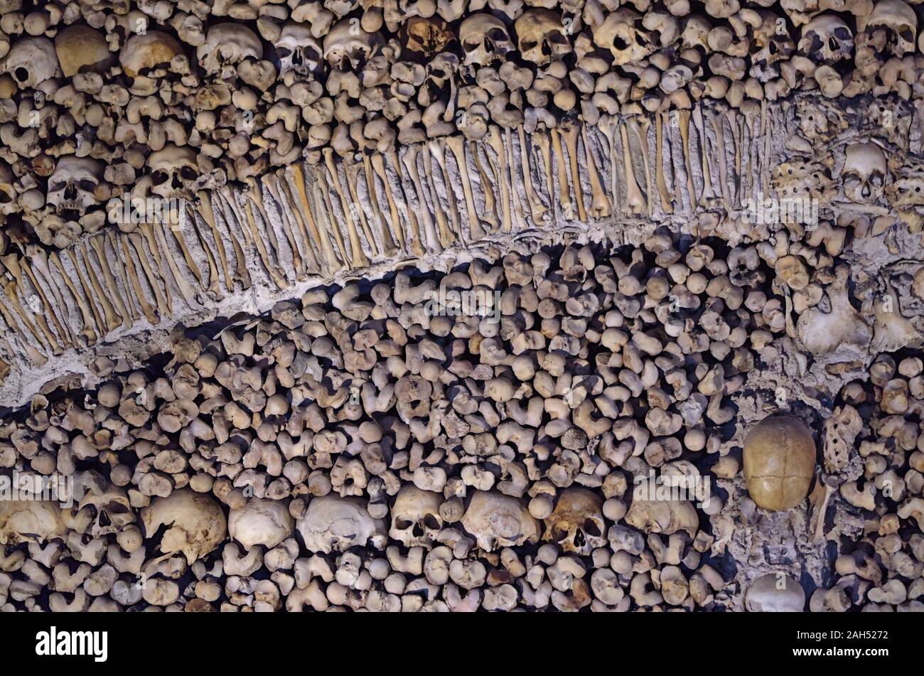 Wall of bones hi-res stock photography and images - Alamy