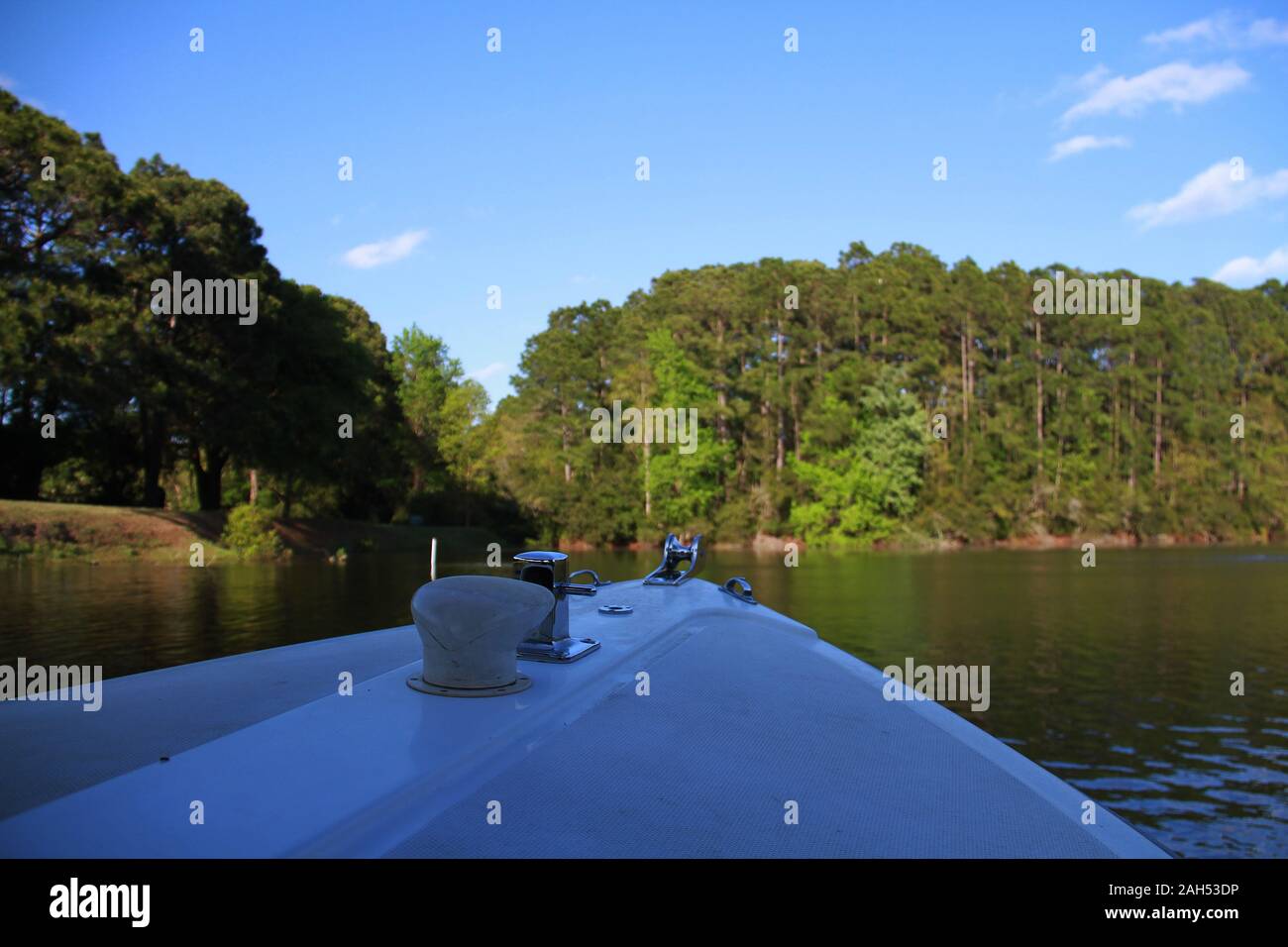 Warning danger alligator gator hi-res stock photography and images - Alamy