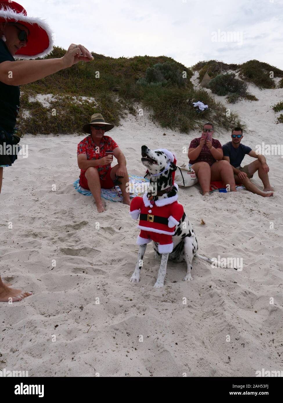 Christmas theme australian beach perth hi-res stock photography and ...