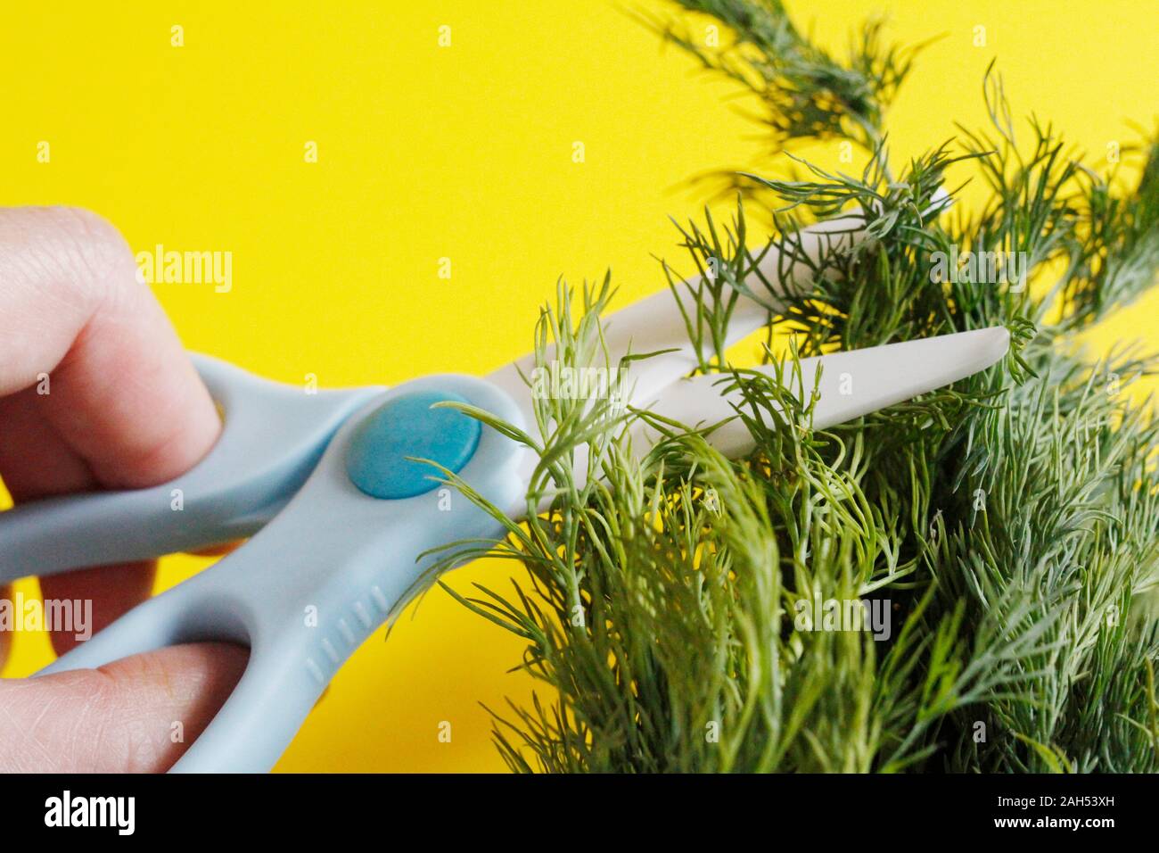 Ceramic scissors. Eco-friendly food slicing. Cooking for children. Cut ...