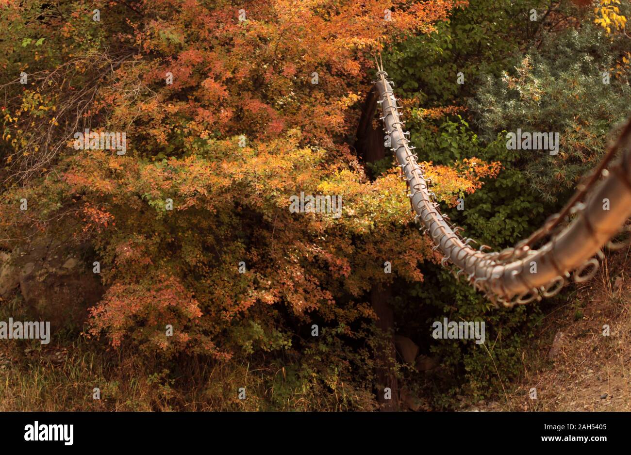 Lavasan hi-res stock photography and images - Alamy