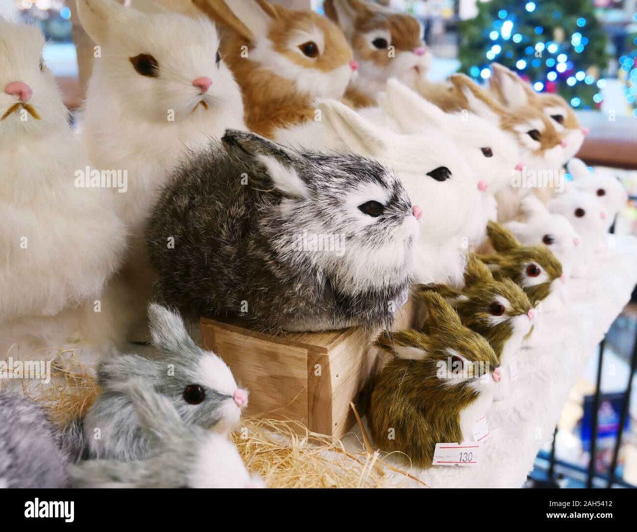 Toy rabbits on the shelves Stock Photo - Alamy