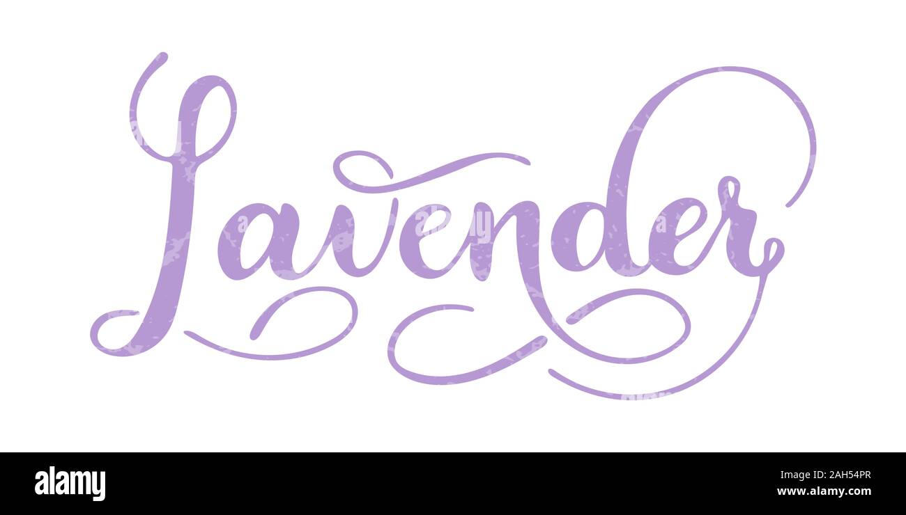 Vector hand written lavender text isolated on white background. Kitchen ...