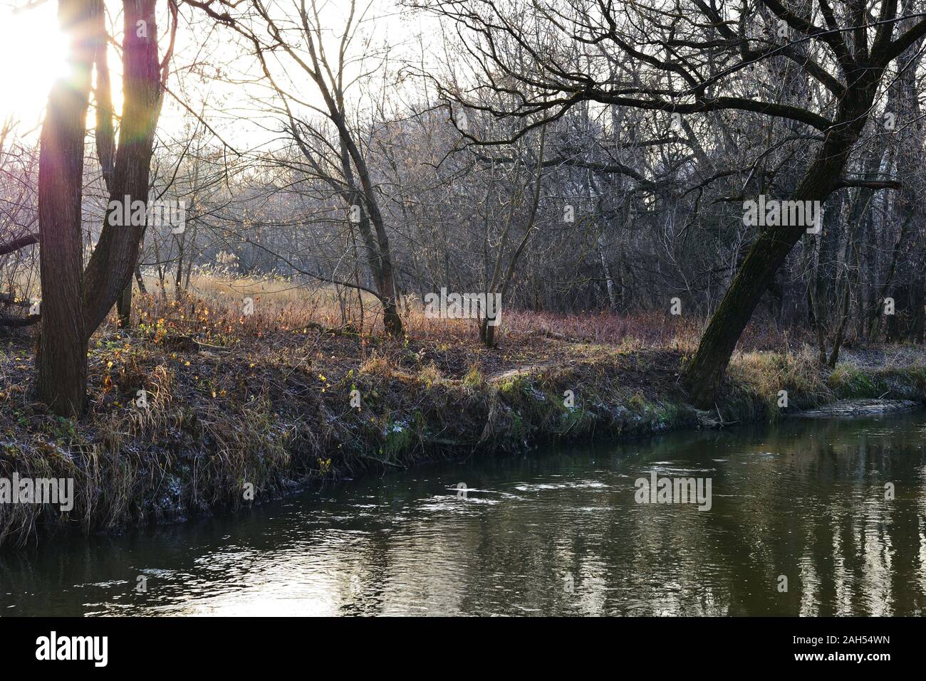 River among trees hi-res stock photography and images - Alamy