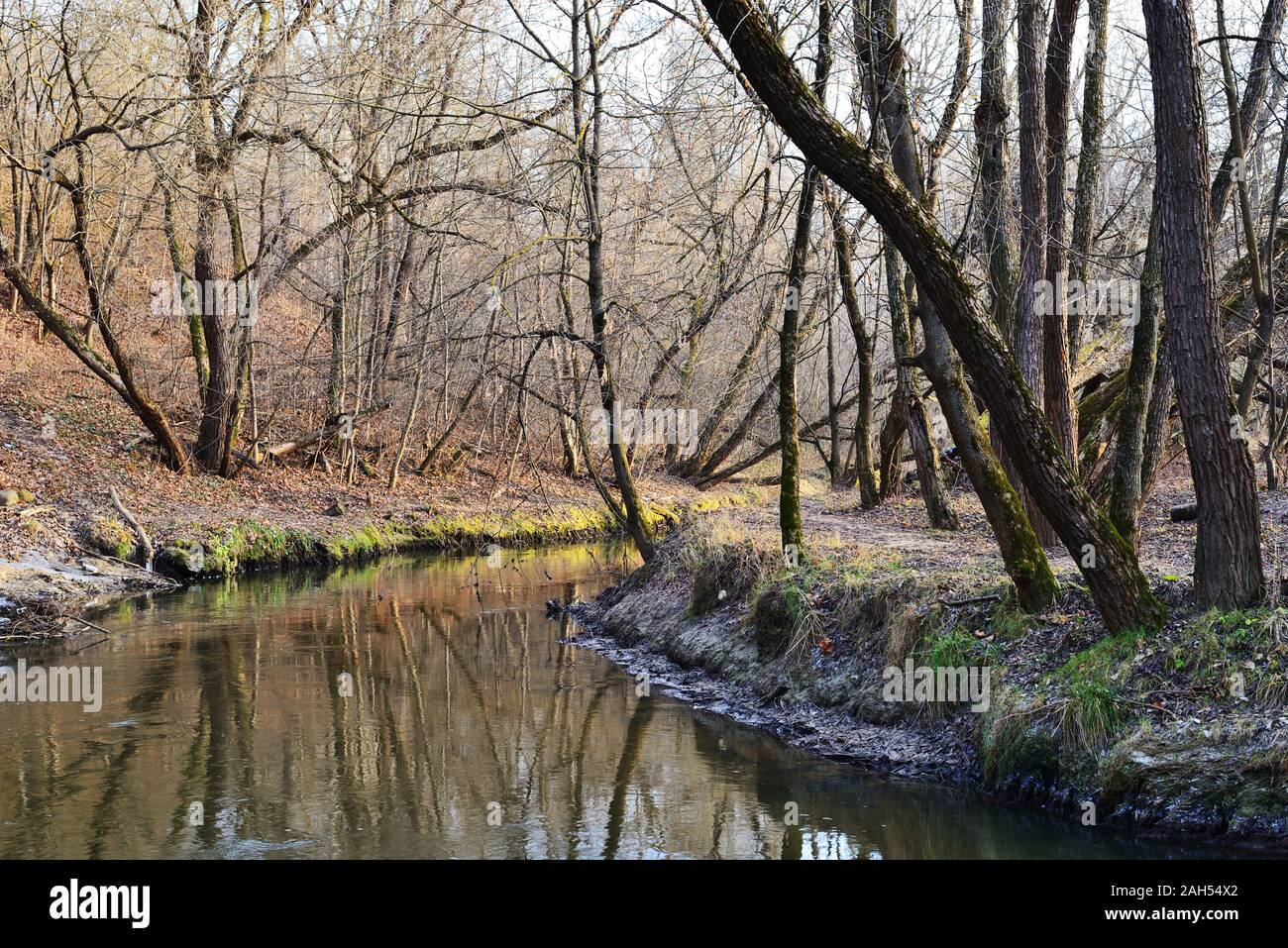 River among trees hi-res stock photography and images - Alamy