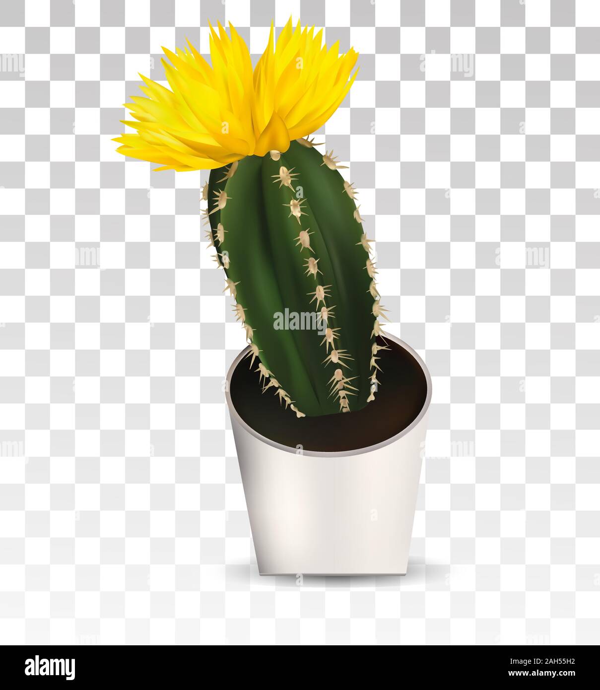 3d realistic cactus with yellow flower. Decorative cactusBeautiful icon ...