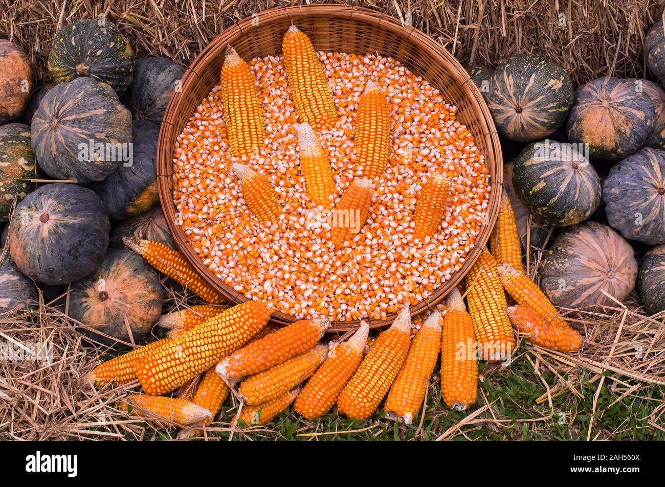 Organic farms hi-res stock photography and images - Alamy