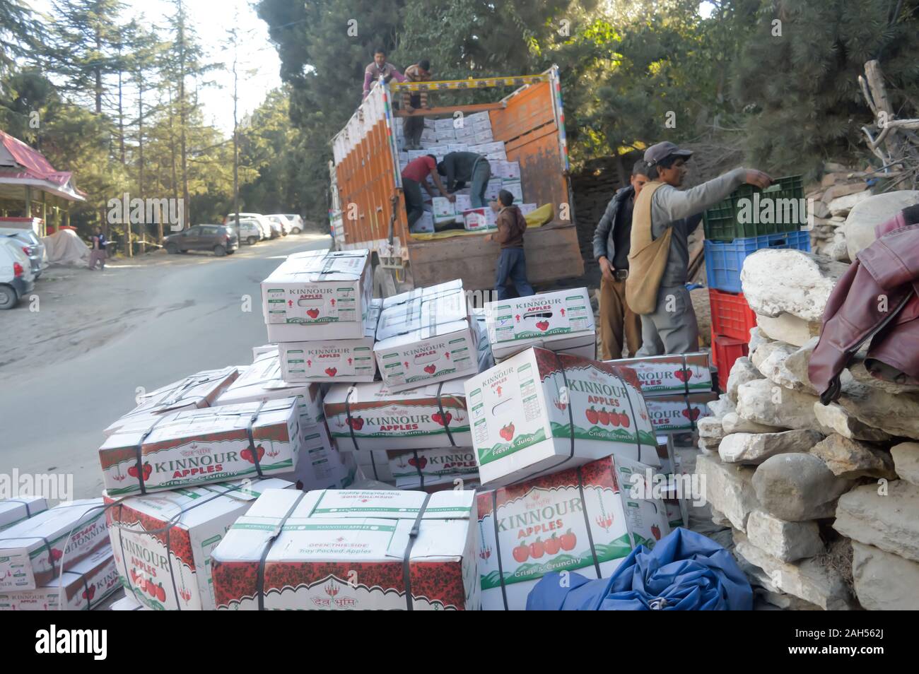 Box packed harvested apple fruits ready for trade in autumn season ...
