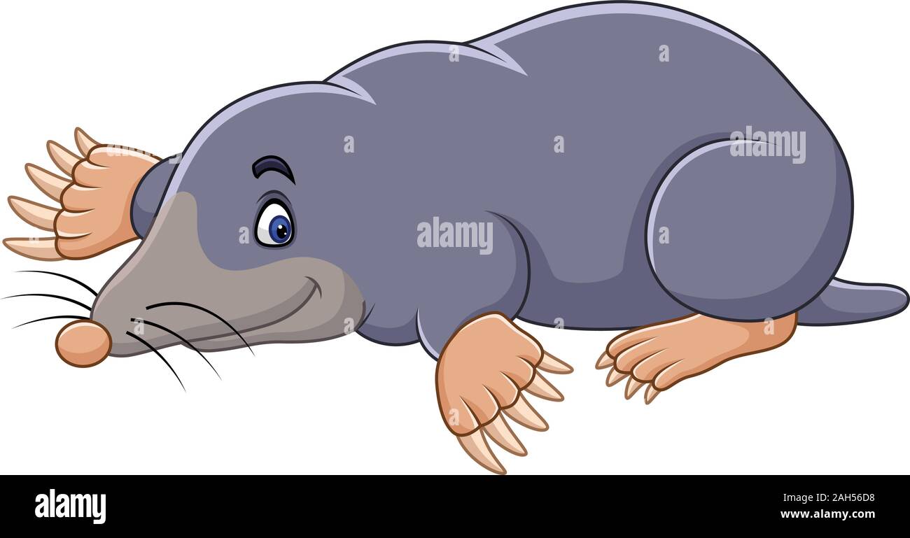 Cartoon cute mole Stock Vector Image & Art - Alamy