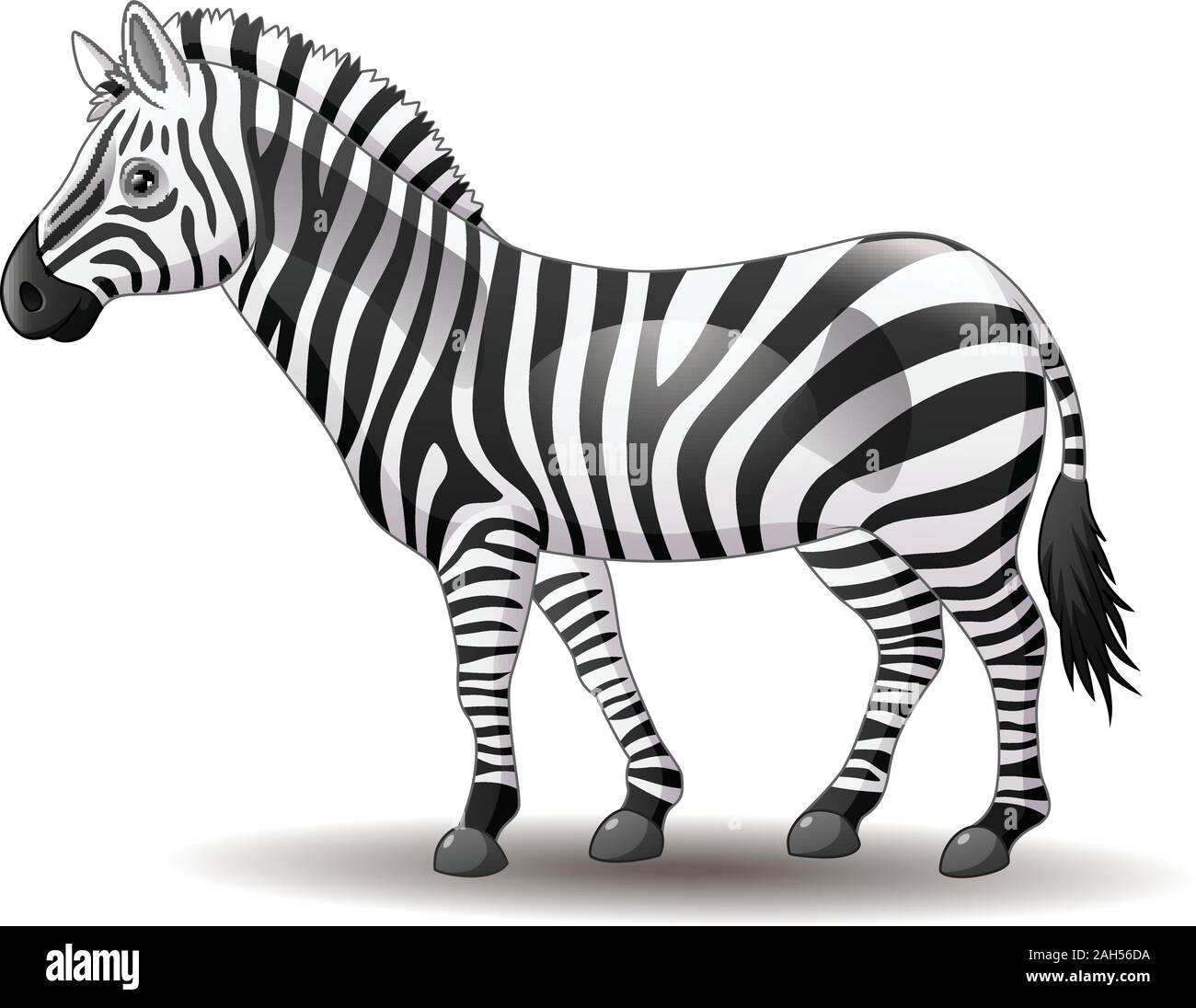 Cartoon funny zebra posing isolated on white background Stock Vector ...