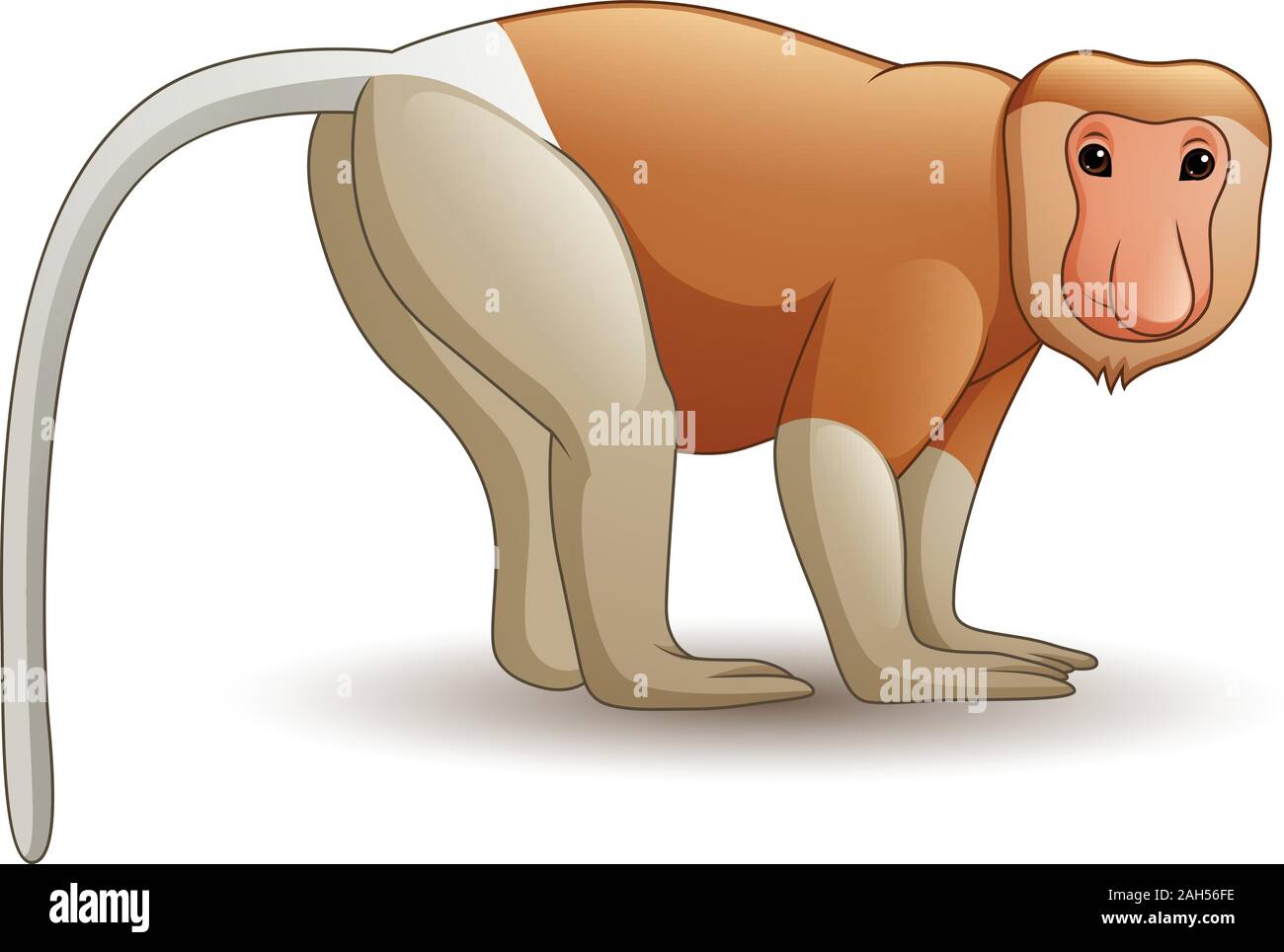 Cartoon proboscis monkey Stock Vector Image & Art - Alamy