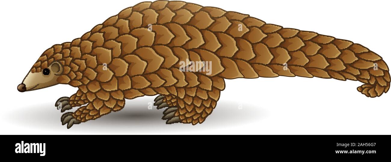 Cartoon pangolin isolated on white background Stock Vector Image & Art ...