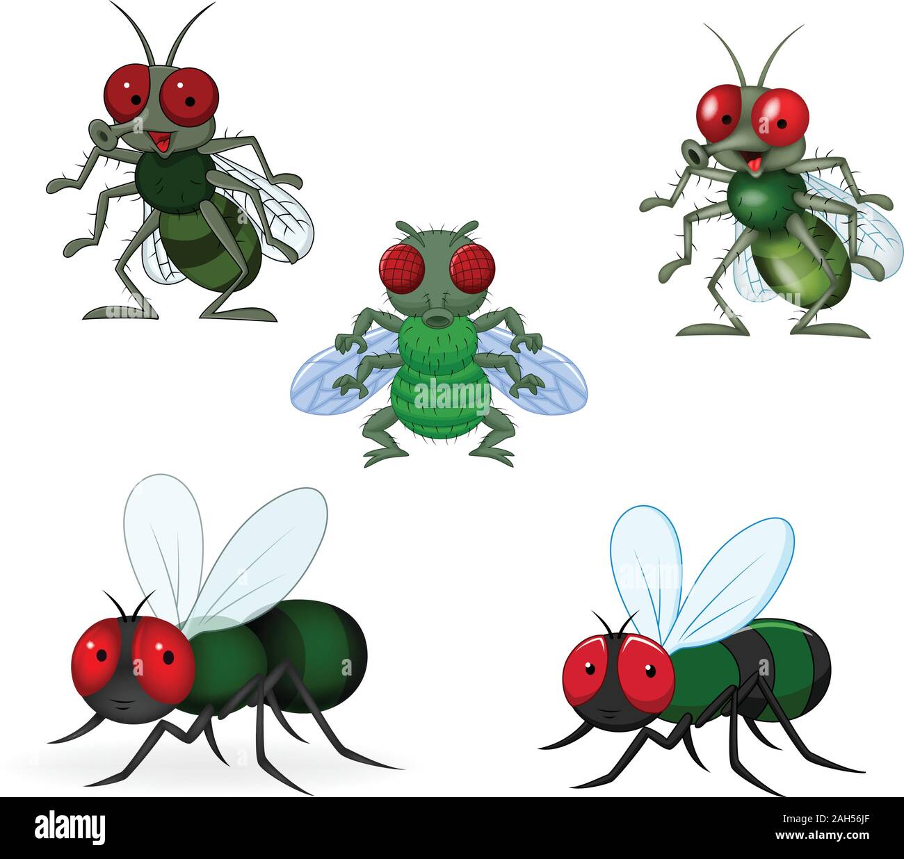 Cartoon green fly collection set Stock Vector Image & Art - Alamy