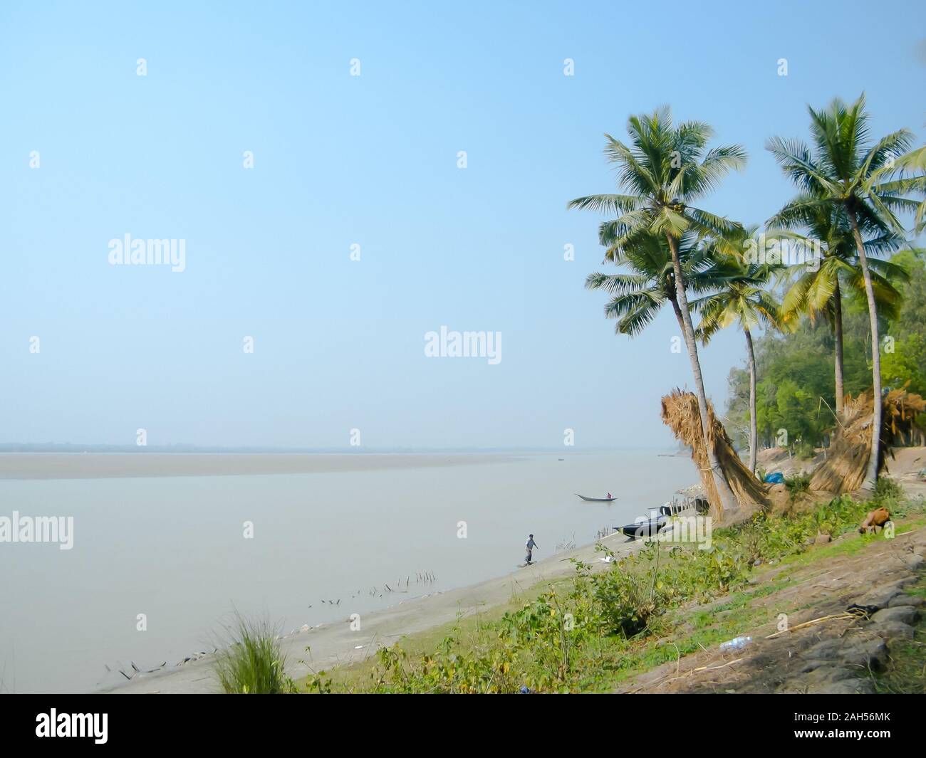 Ganges riverside coastal area near Bay of Bengal. Coconut palm trees on ...
