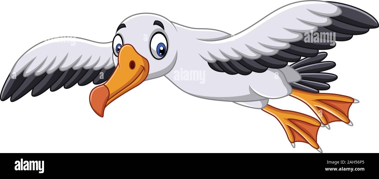 Cartoon albatross flying Stock Vector Image & Art - Alamy