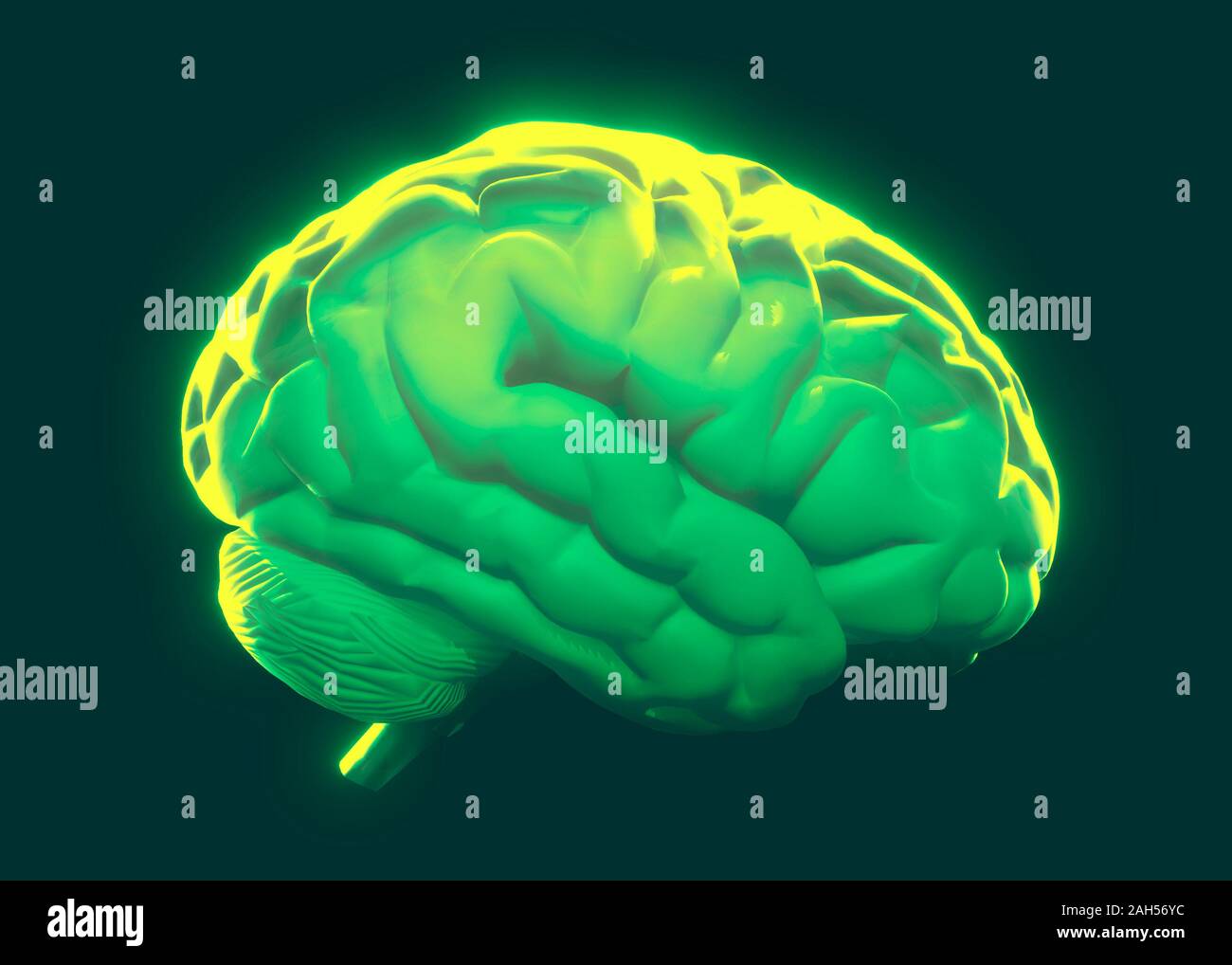 Human brain floating on a dark background. 3d render Stock Photo - Alamy
