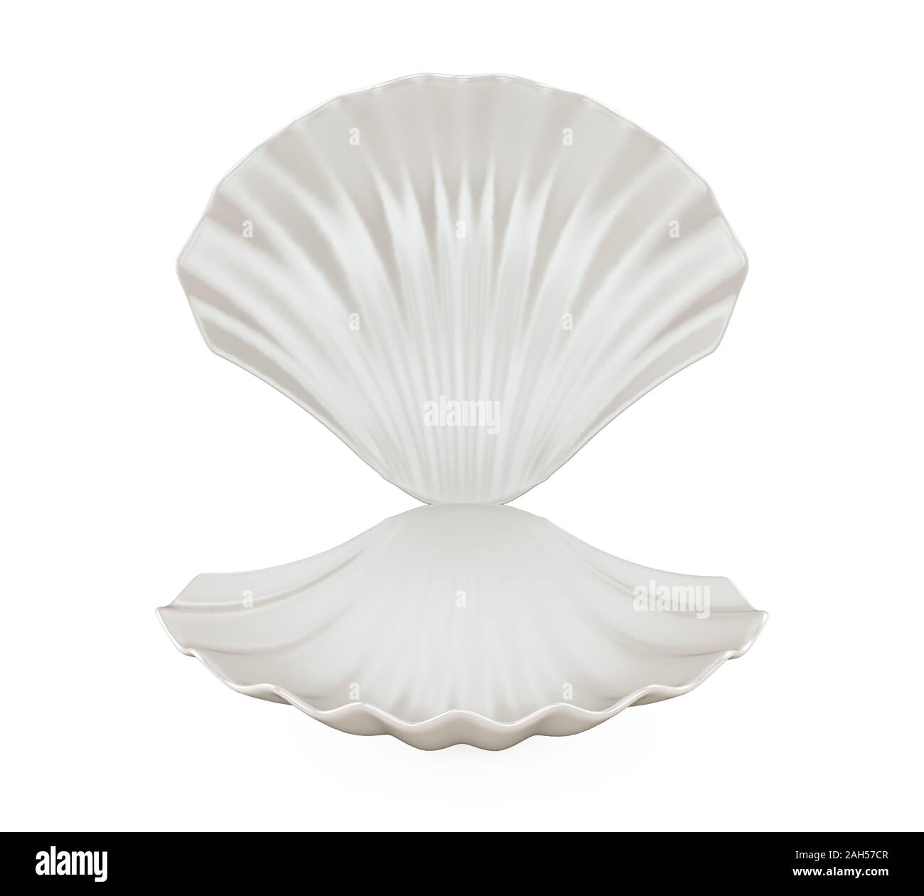 Empty Open Seashell Isolated Stock Photo - Alamy