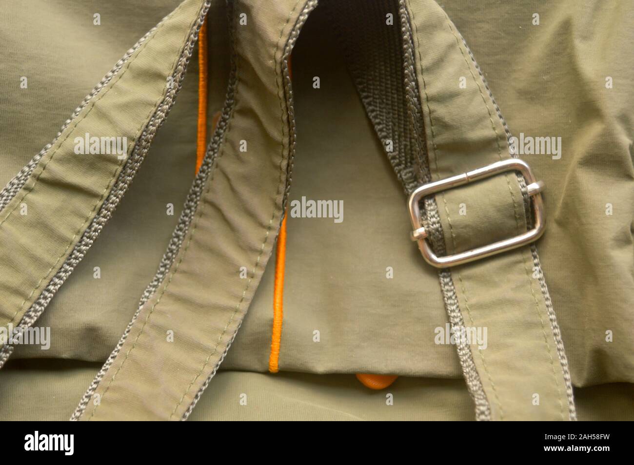 Detail part of Luxury clasp (Buckle) on strap of a ladies new ladies ...