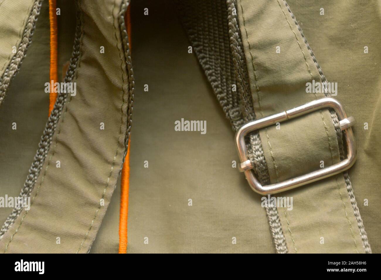 Detail part of Luxury clasp (Buckle) on strap of a ladies new ladies ...