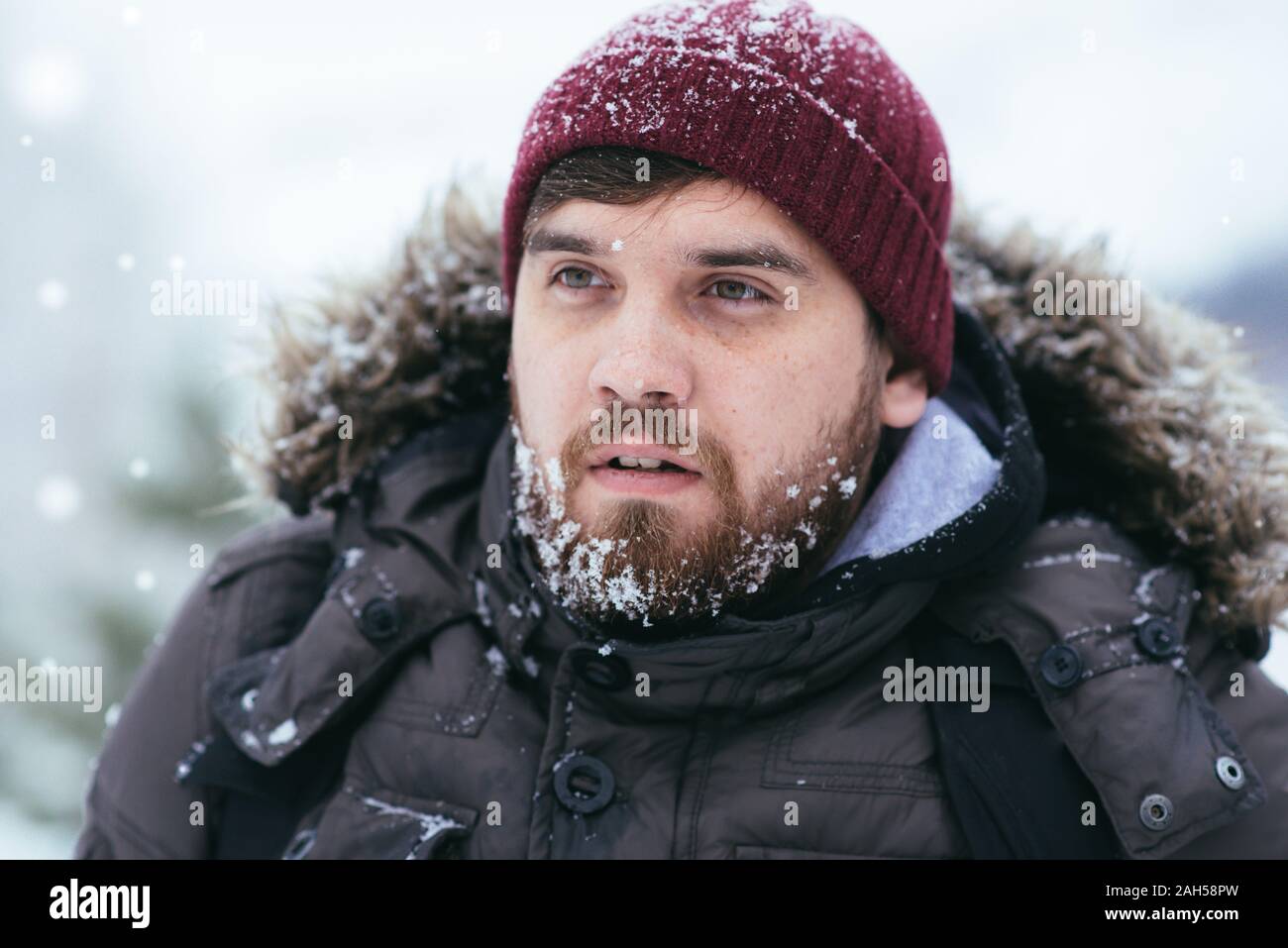 winter portrait of a traveler in the woods Stock Photo - Alamy