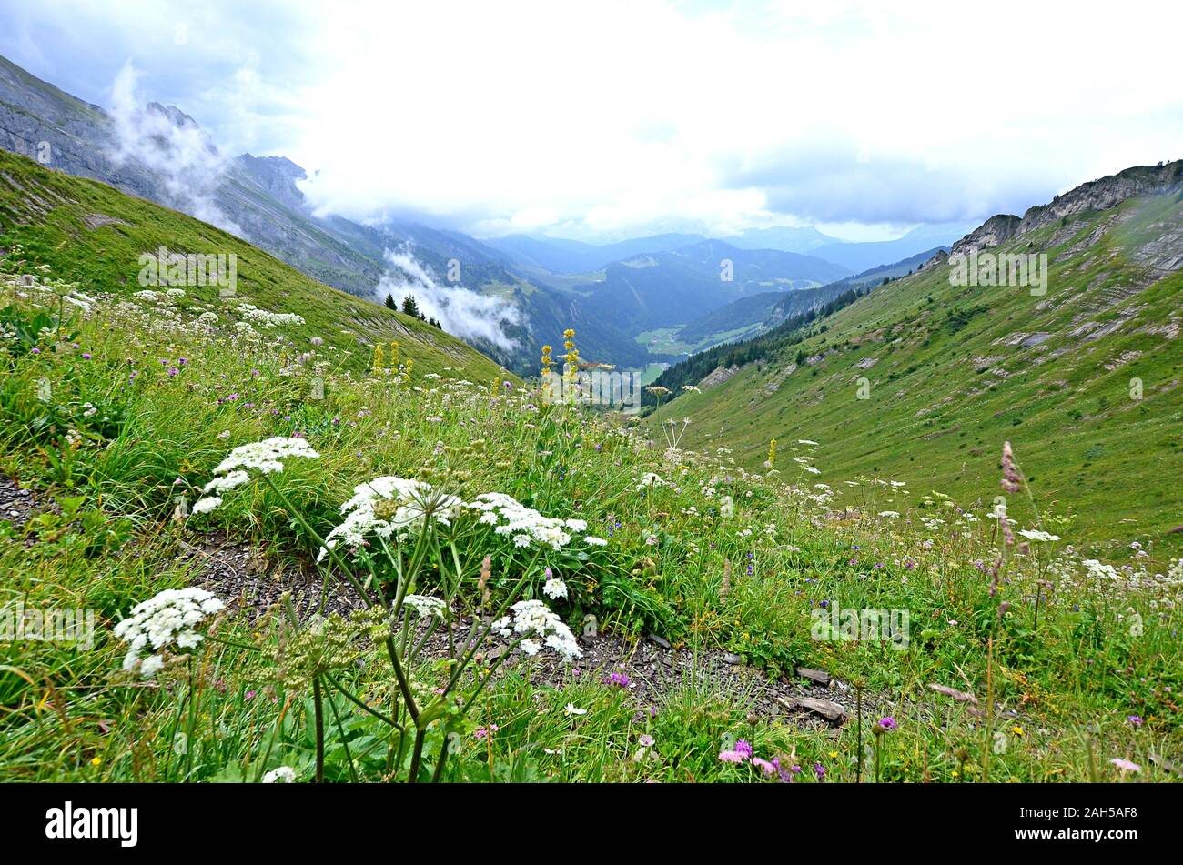 Beautiful view on french alps hi-res stock photography and images - Alamy