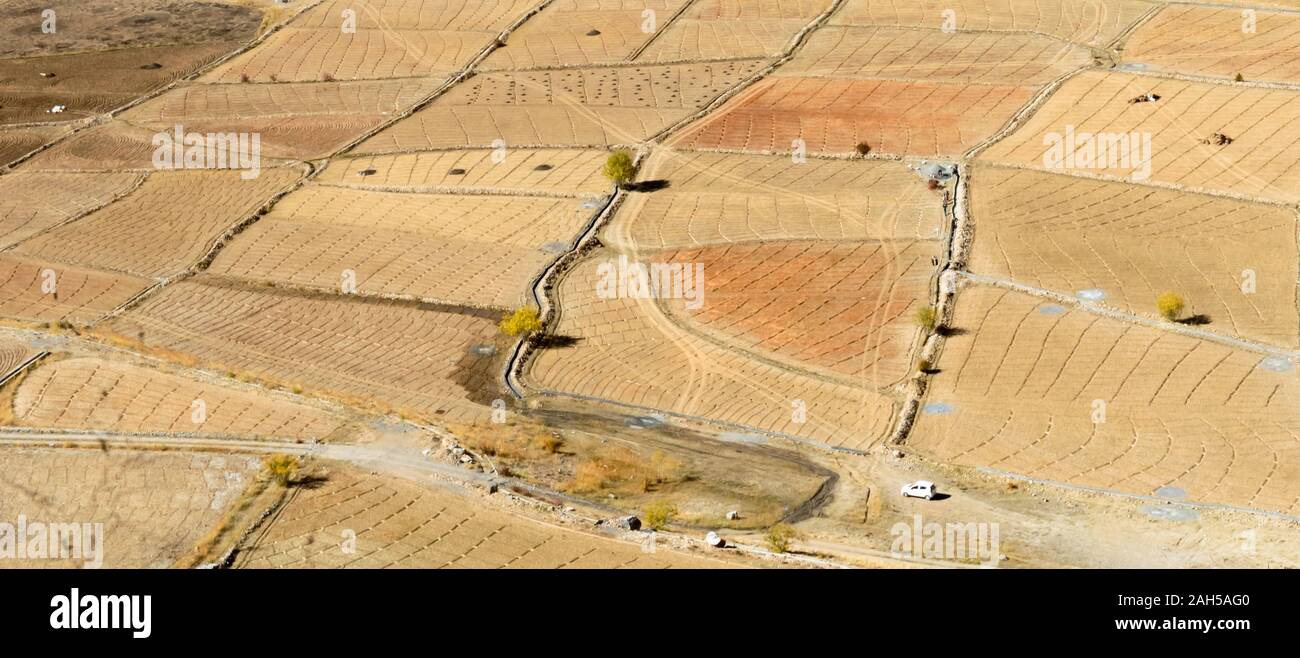 Abstract geometric shape agriculture parcel field of different crops on ...