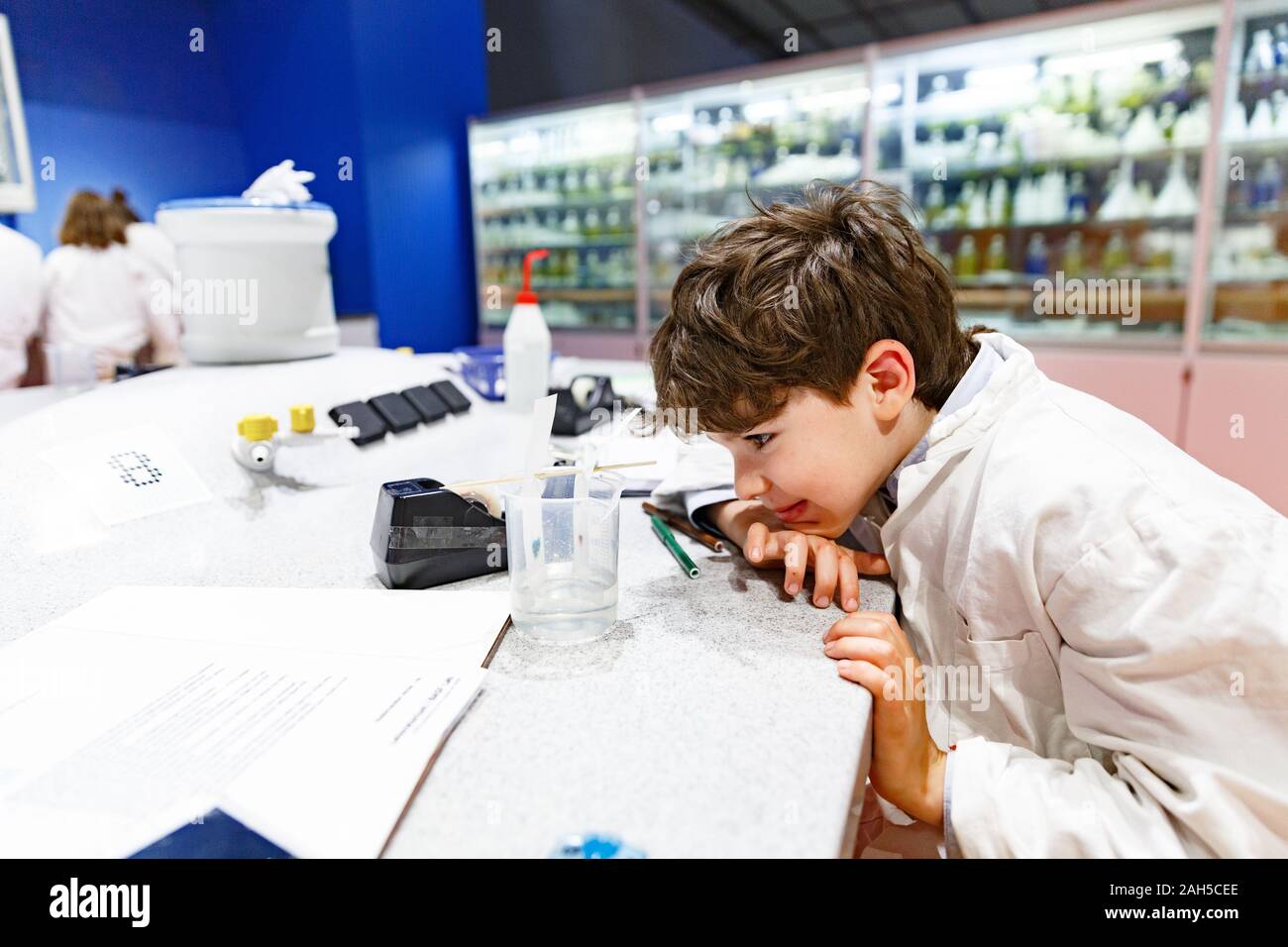 An 8-year-old boy conducts an experiment, observes the decomposition of ...