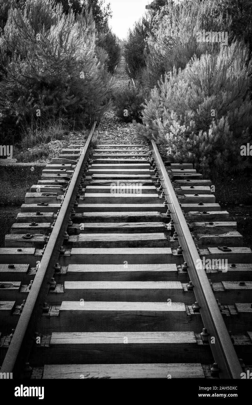 Old vintage railway tracks in black and white Stock Photo - Alamy