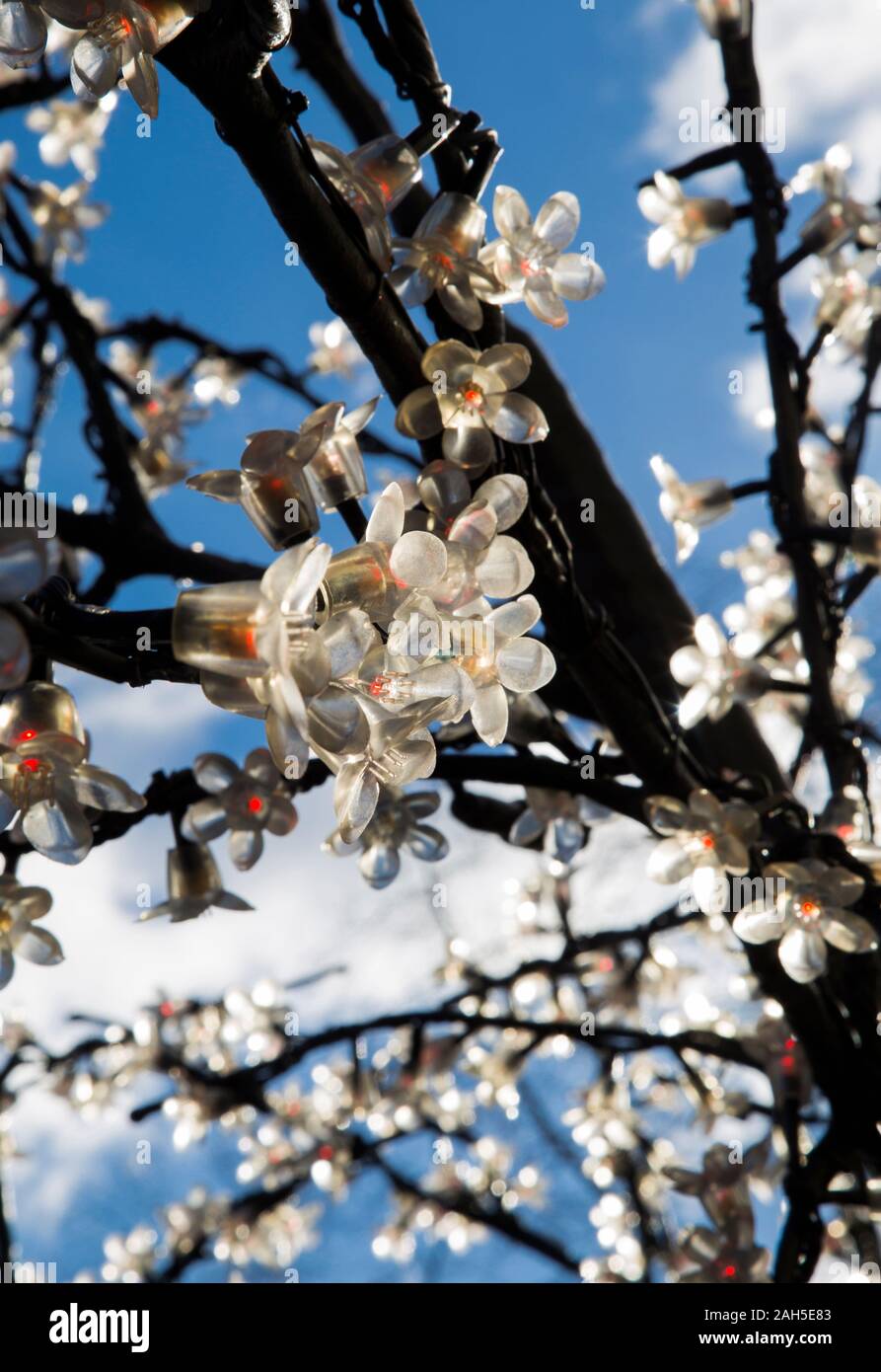 Tree decorated with lights that are in the shape of flowers Stock Photo ...