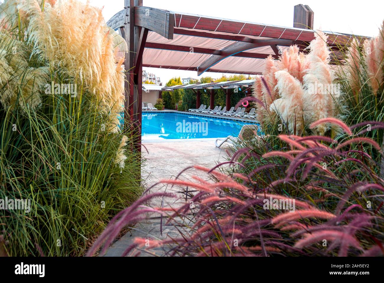 Empty stretchers by the pool in the summer resort Stock Photo - Alamy
