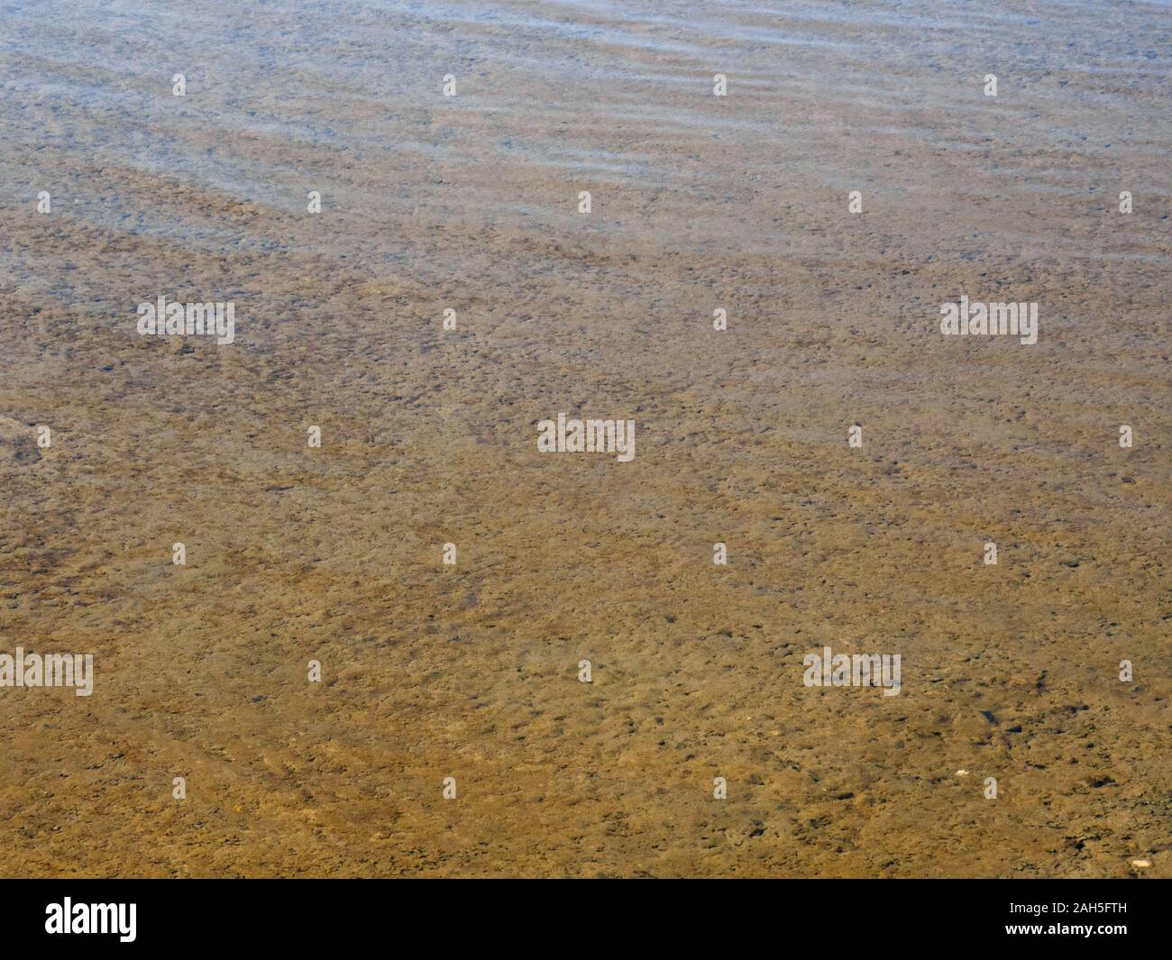 Tuapse hi-res stock photography and images - Alamy