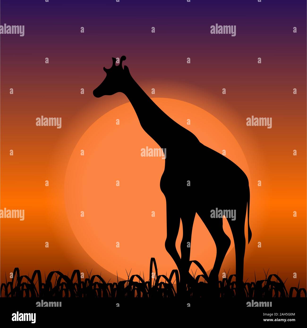 Giraffe on sunset background. Black silhouette Stock Vector Image & Art ...