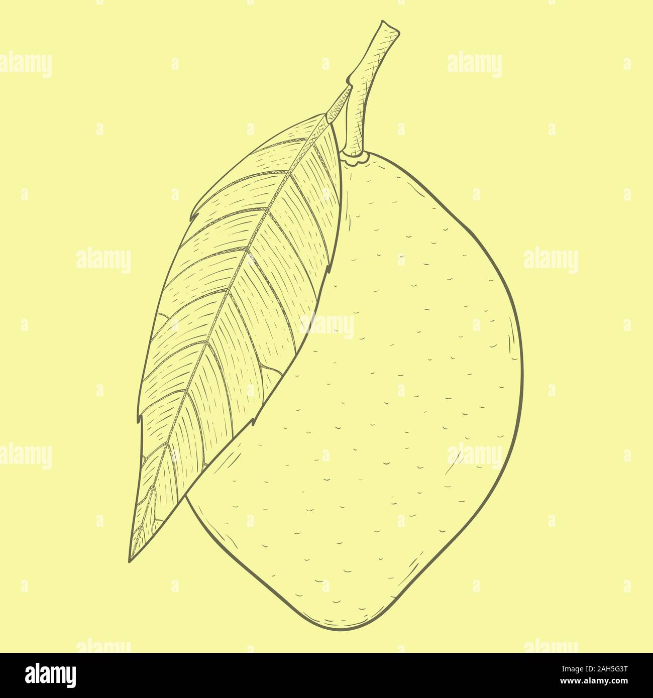Lemon with leaf. Hand drawn outline sketch on yellow background. Vector ...