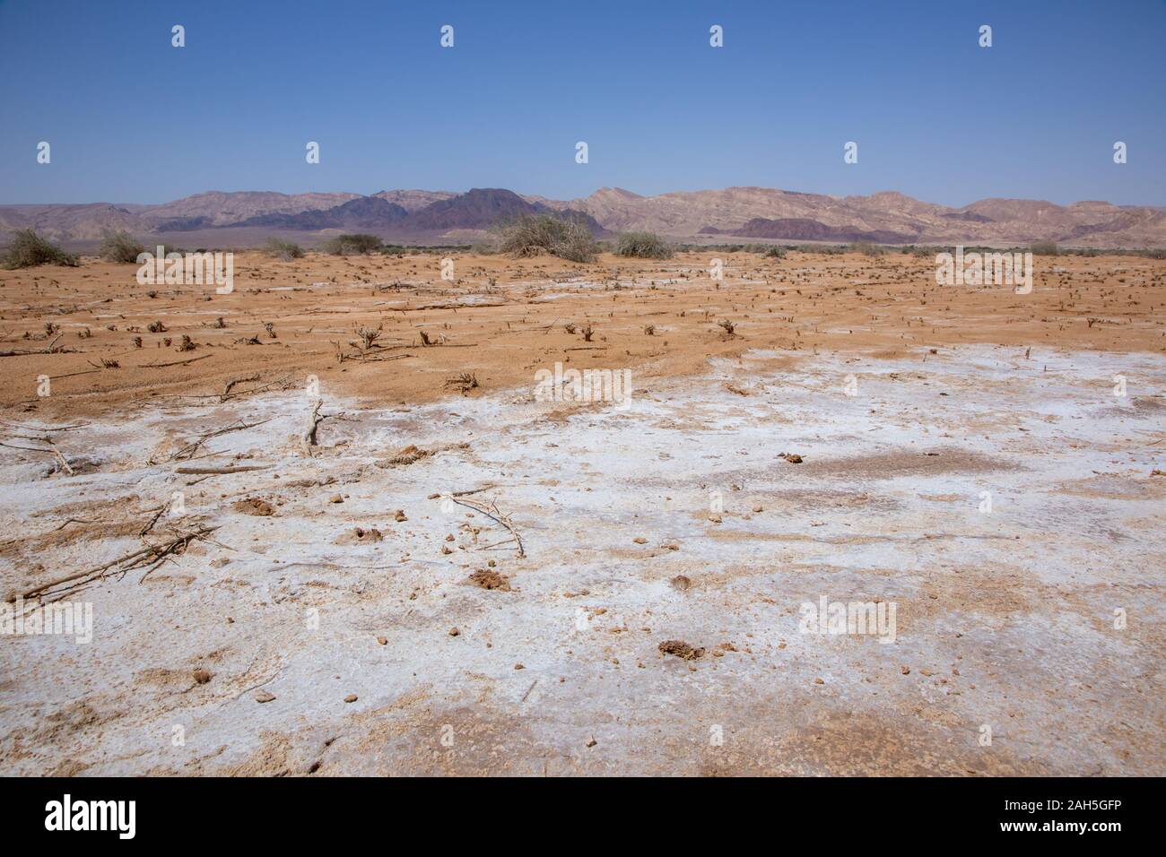 Arabah plain hi-res stock photography and images - Alamy