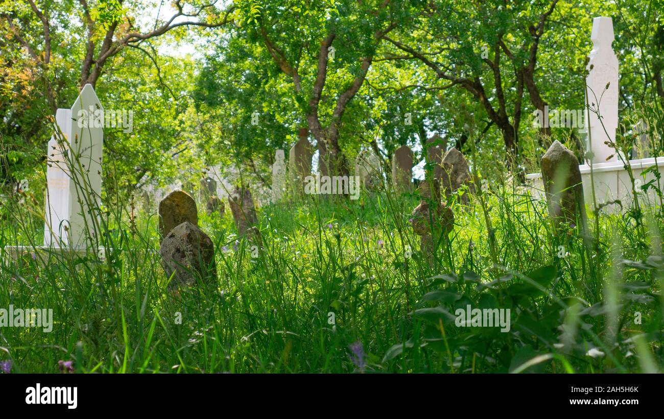 Cemetery overgrown headstone gravestone neglected hi-res stock ...