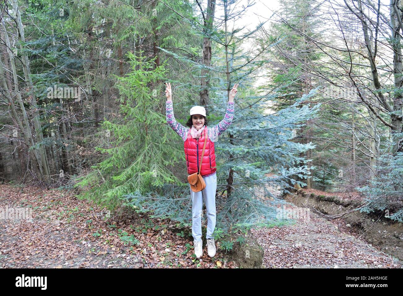 Young girl enjoying a hike trip on a forest walkway in nature Stock ...
