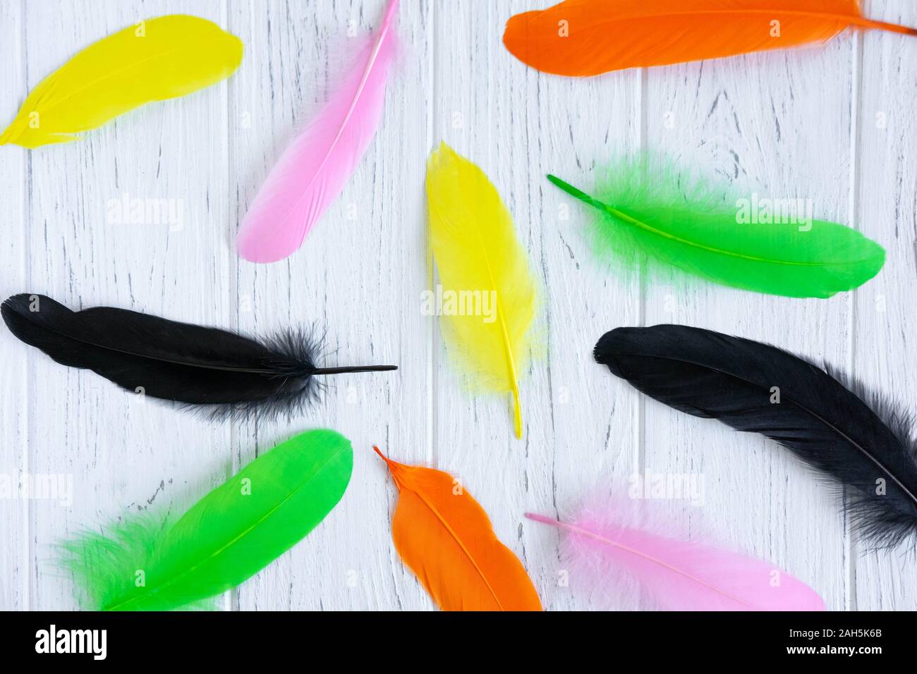 Bright colored feathers on a light background. Trendy background with ...